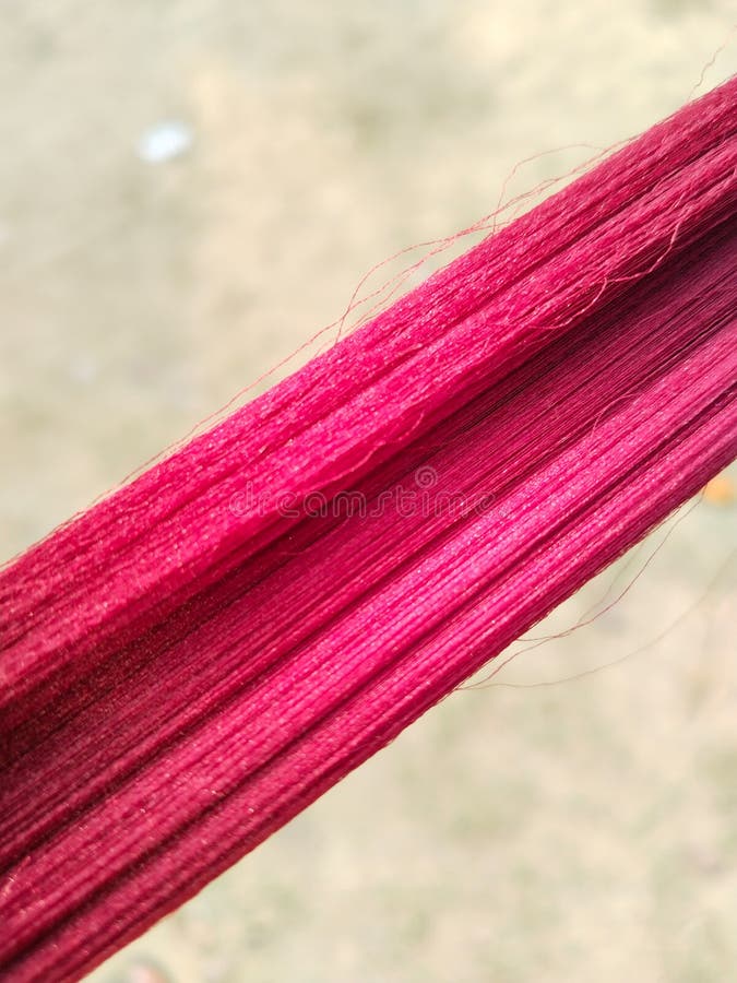 Hand Loom Silk Threads Spread Out To Dry in the Sun on a Bright, Sunny ...