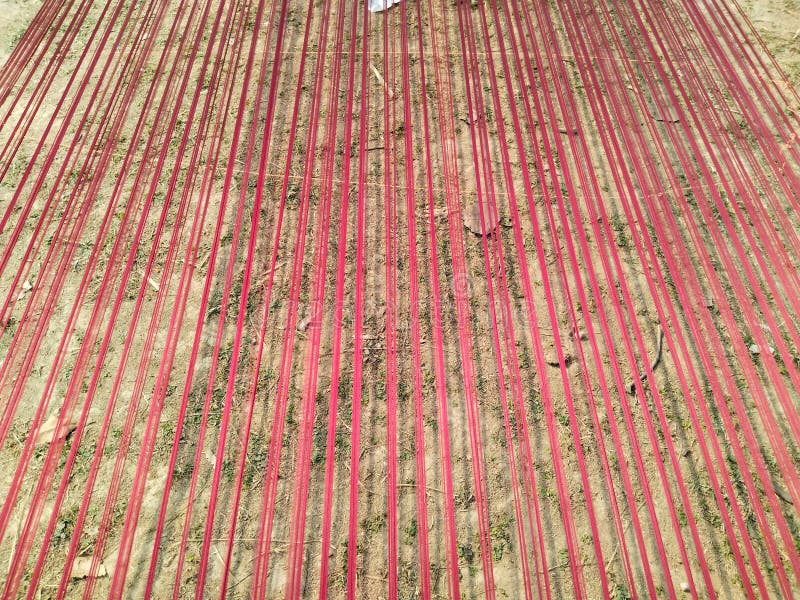 Hand Loom Silk Threads Spread Out To Dry in the Sun on a Bright, Sunny ...