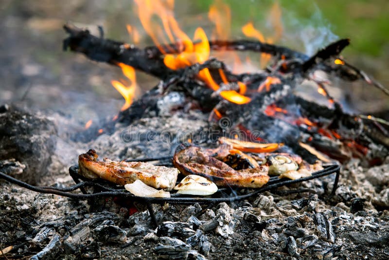 Hand made bbq stock photo. Image of nature, heat, outdoor - 44951066