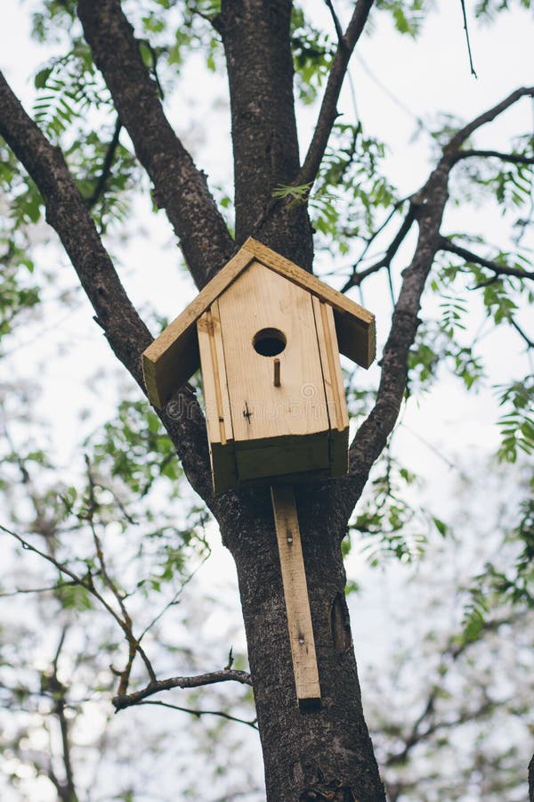 Hand Made Bird House Hanging On A Tree Trunk Stock Image - Image of ...