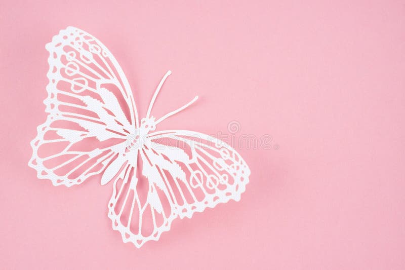 Hand Made Butterfly Paper Cut on Pink Color Background Stock Image ...