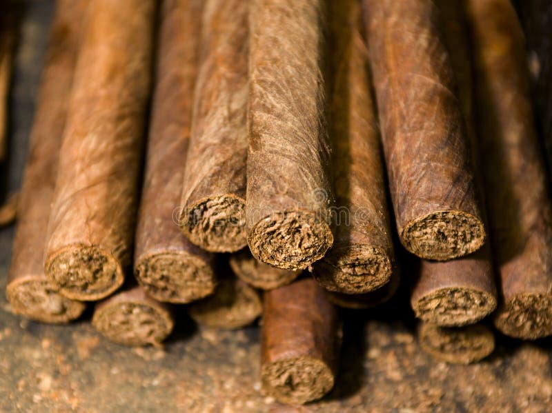 Hand made cigars stock photo. Image of brown, panama, leaf - 1860512