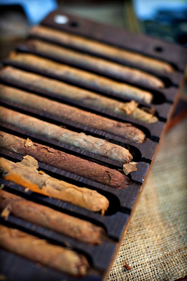 Hand Made Cigars stock photo. Image of luxury, toxic - 21270238