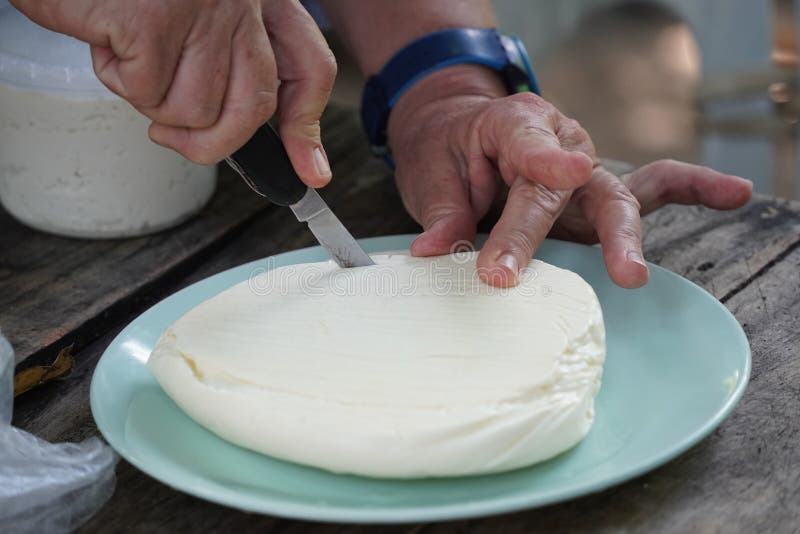Hand made fresh cheese stock photo. Image of closeup - 260575600