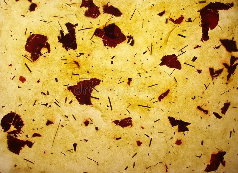 Hand made paper stock image. Image of material, pulp, natural - 263829