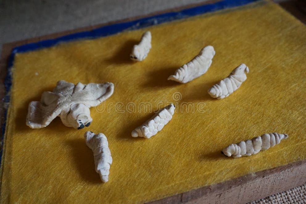 Hand made paster cement. stock photo. Image of build - 161838606