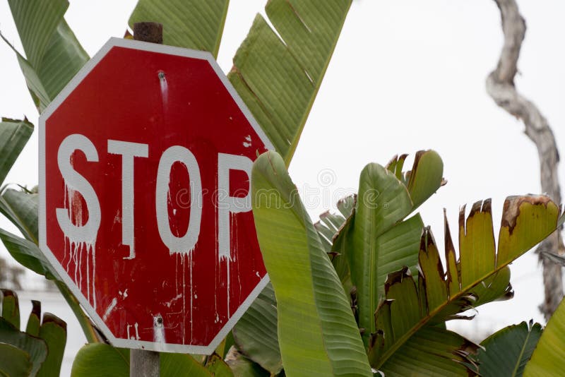 Hand Made Stop Sign Covered by White Paint Spills Stock Photo - Image ...