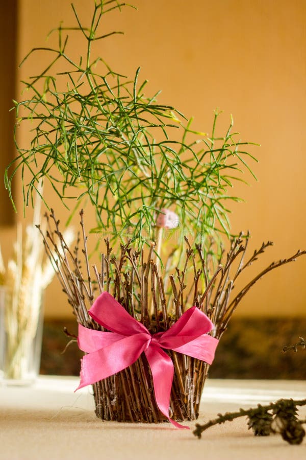 Hand made twig flower pot stock image. Image of color - 76963981