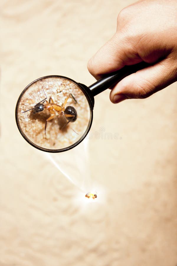 Hand with magnifying glass stock image. Image of concept - 14309687