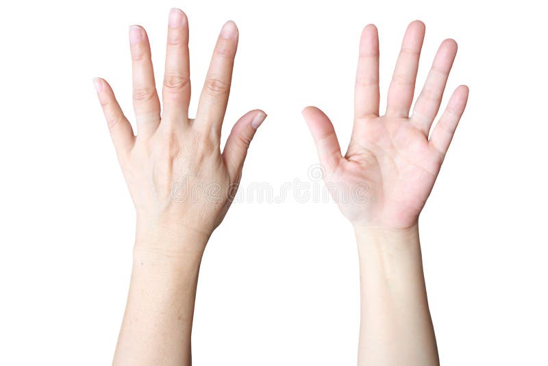 Hand make heart sign stock image. Image of heal, protect - 22869909