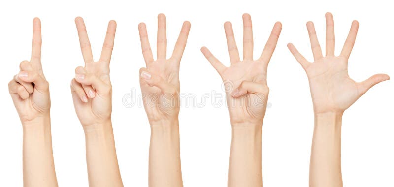 Hand Make Number Collection Stock Image - Image of five, female: 25753503
