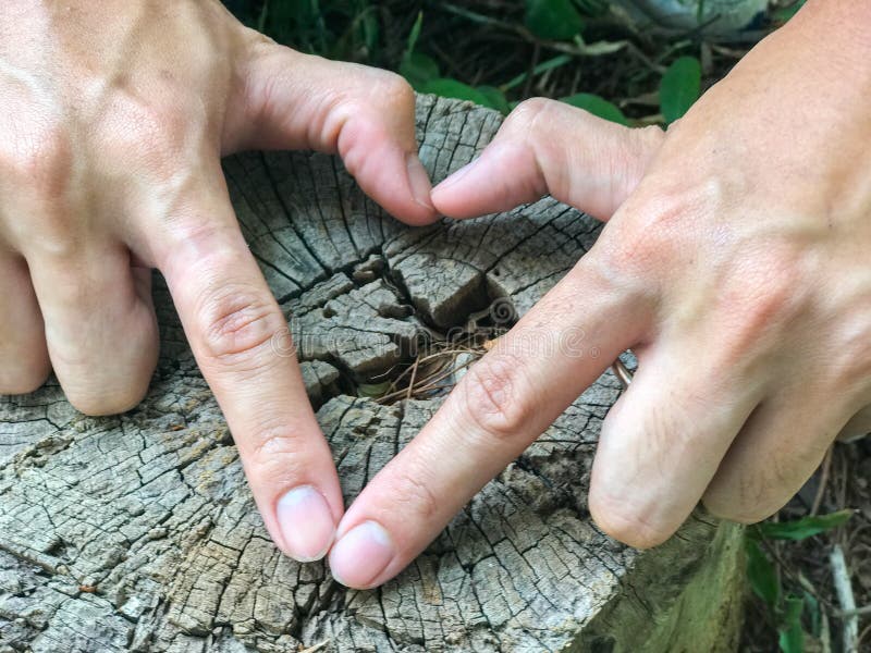Hand making Hearth symbol stock image. Image of making - 106150961