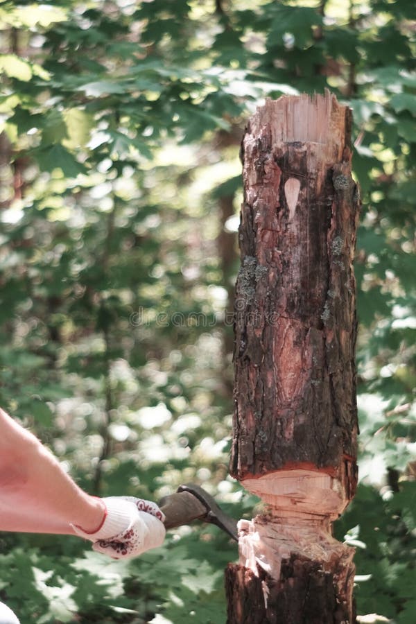 A Hand of a Man Hack a Tree with an Ax Against a Blurred Green ...