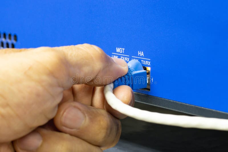 Hand of a Man Holding the Network Cables To Connect the Port of a ...