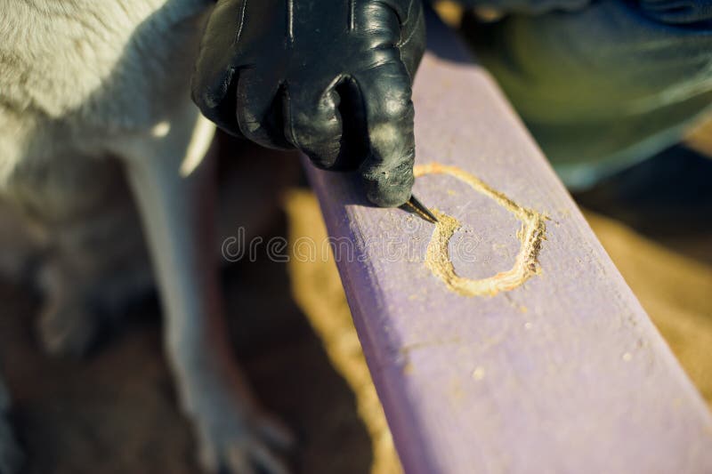 Hand of Man with a Knife Cuts Heart Stock Image - Image of lake, garden ...