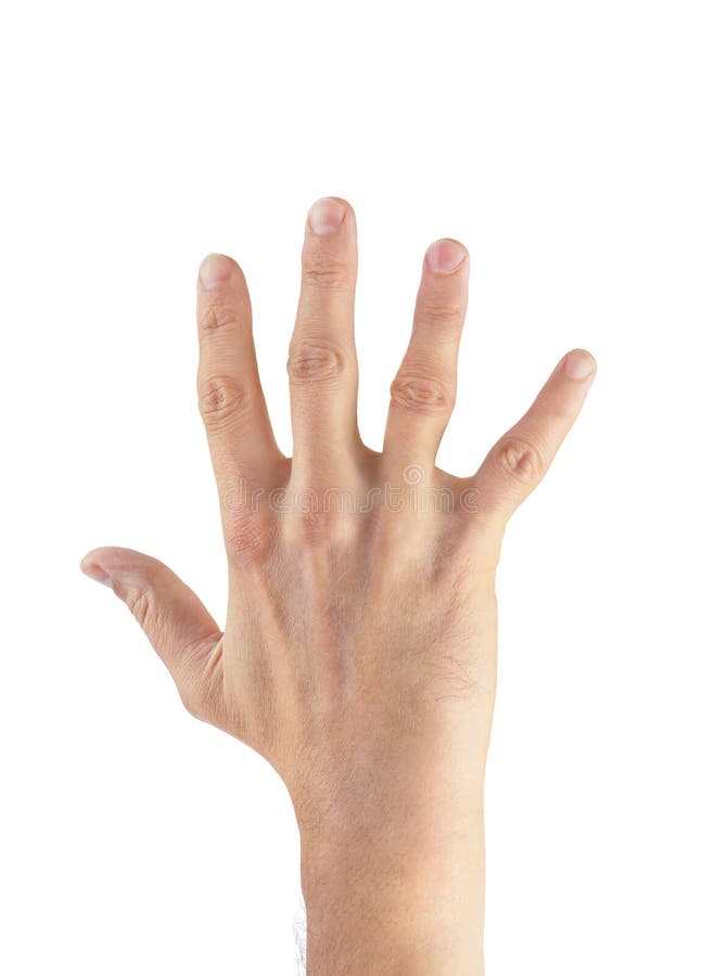 Hand (palm) stock photo. Image of number, finger, palm - 2184048