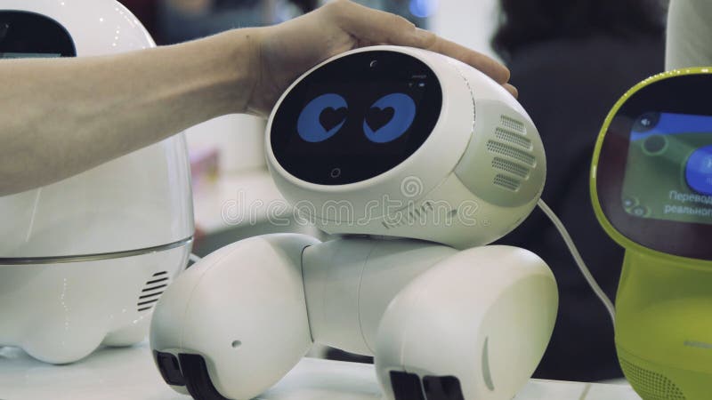 Hand of Man Touches the Robot. Robot is Happy with the Touch of a Human ...