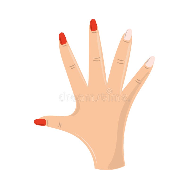 Hand with manicure stock vector. Illustration of fingernail - 224287465