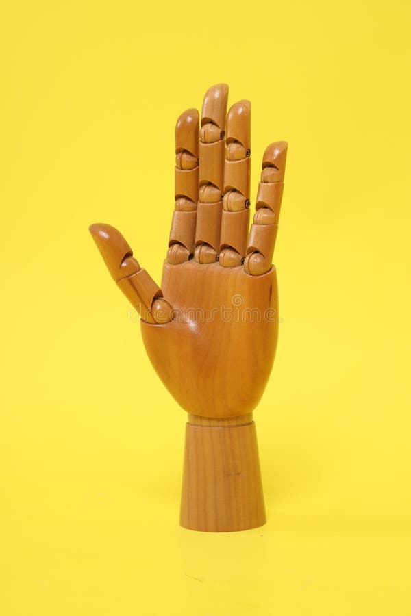 Hand of mannequin stock image. Image of mannequin, figure - 315363357