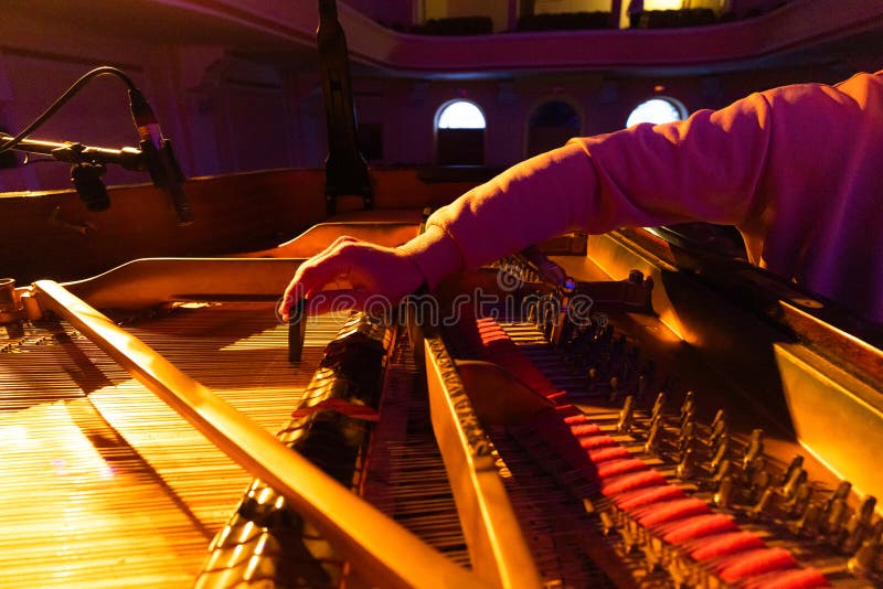 Hand of Master Tuner Adjusting Grand Piano Stock Photo - Image of ...
