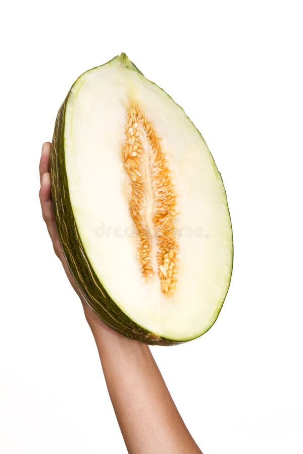 Hand and melon stock photo. Image of grow, gardening - 10820096