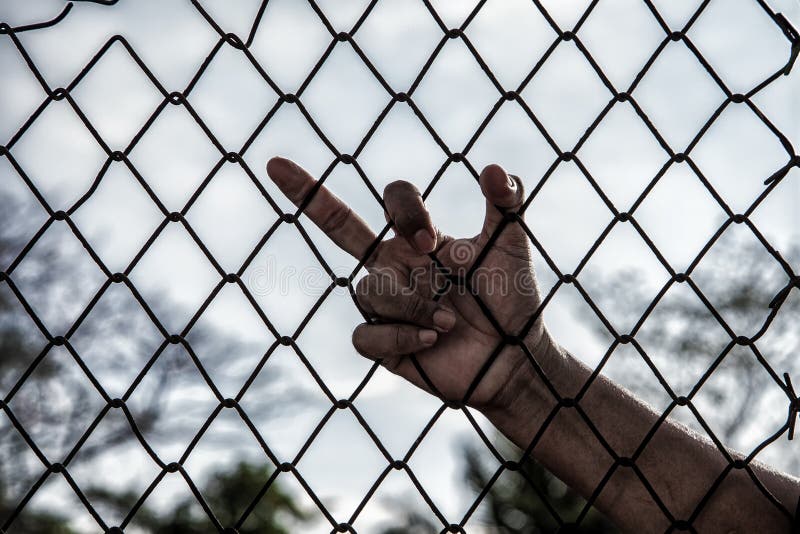 Hand with Mesh Cage, Hands with Steel Mesh Fence Stock Image - Image of ...