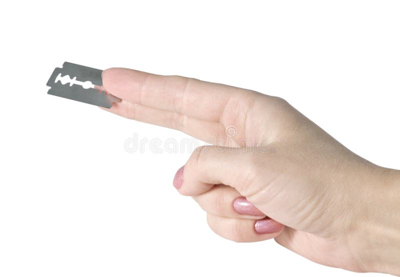 Hand met een blad stock afbeelding. Image of snijden - 11359947
