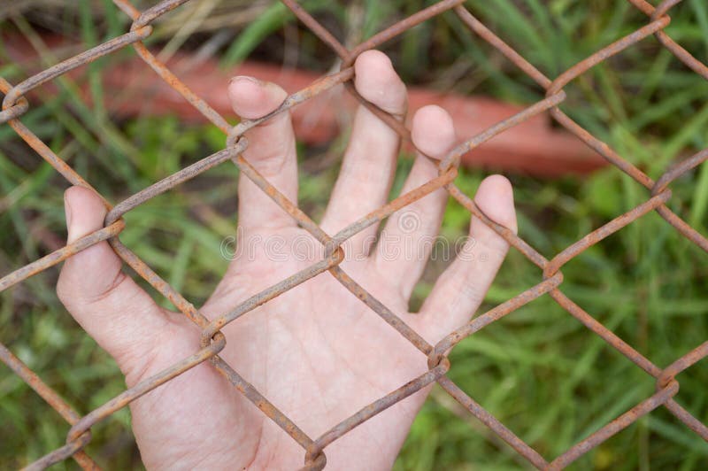 Hand with metal fence stock image. Image of concept, wire - 95052241
