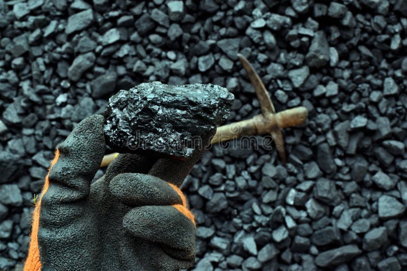 Hand of the Miner Shows Coal in Mine. Stock Photo - Image of pile ...