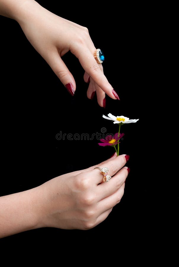 Hand mit Blumen und Ringen stockbild. Bild von hand, schönheit - 32736895