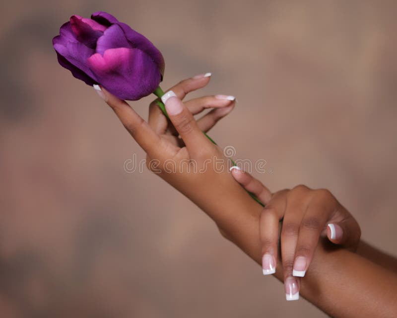 Hand Model stock image. Image of body, woman, magazine - 7233451