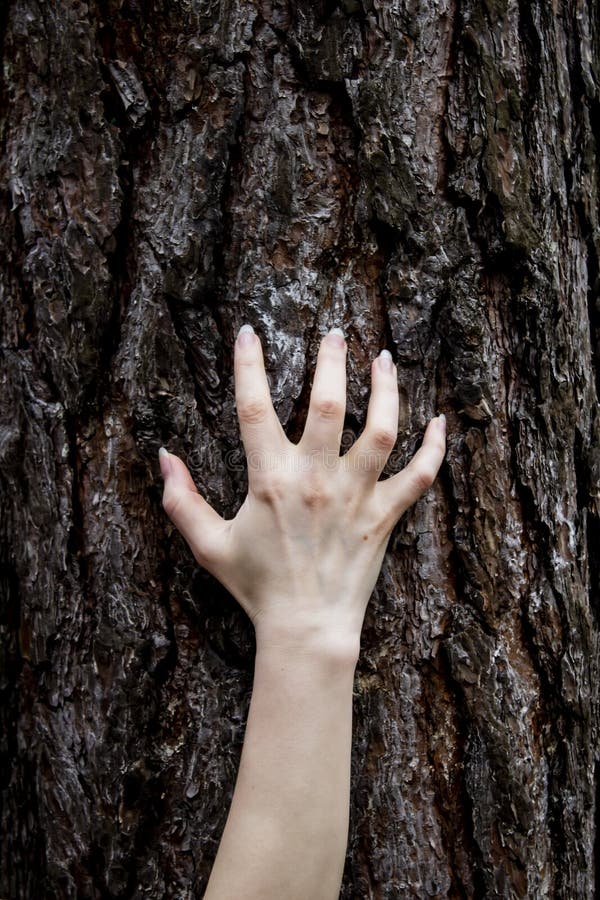 The Hand Move on the Tree. Can Be Used in the Scary Design in Horror ...