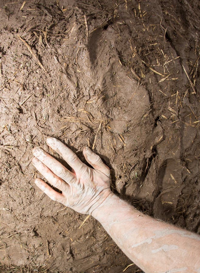 Hand in mud stock image. Image of farmer, dirty, hand - 51274585