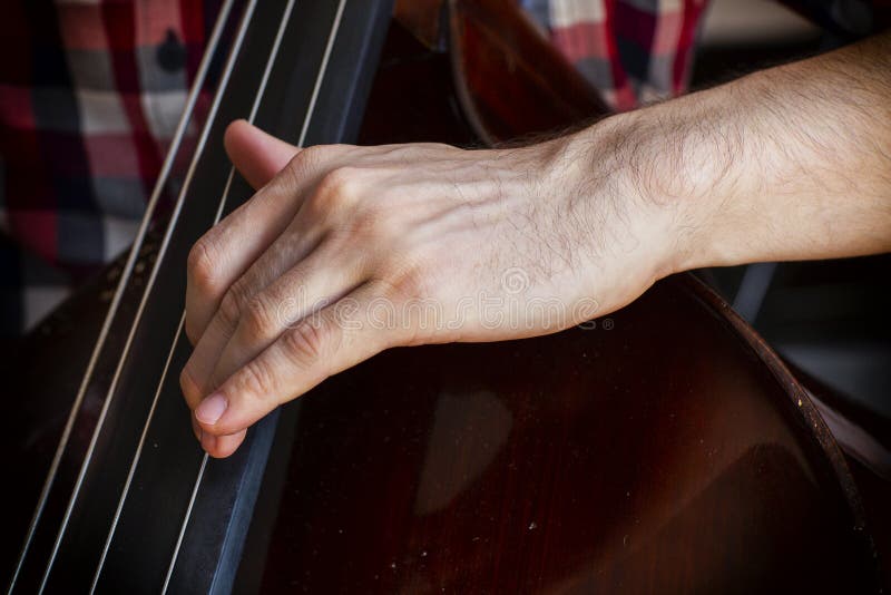 Hand of a Musician Playing on a Contrabass Closeup Stock Image - Image ...