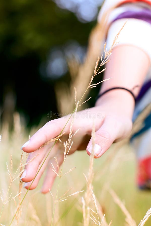 Hand in nature stock photo. Image of person, mobility - 26400184