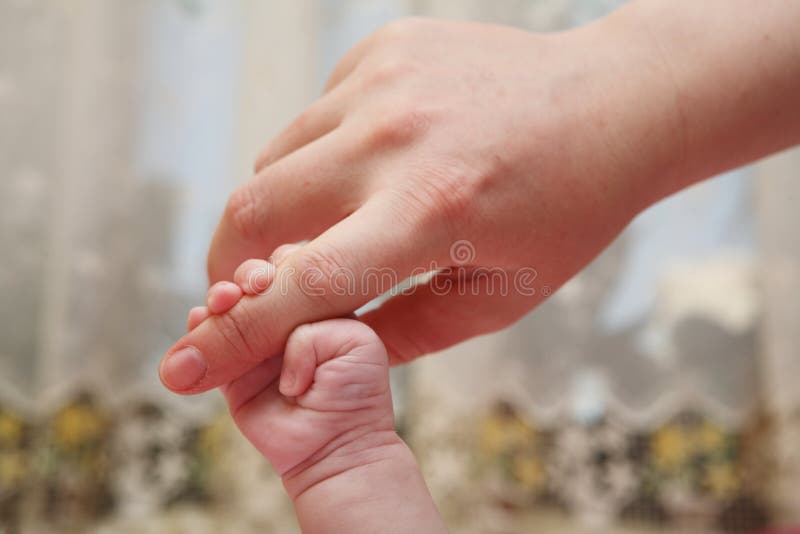 Hand newborn stock photo. Image of baby, small, child - 12808804