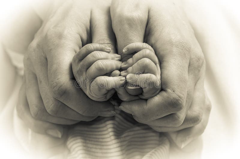 Hand of a newborn baby stock photo. Image of innocent - 38963802