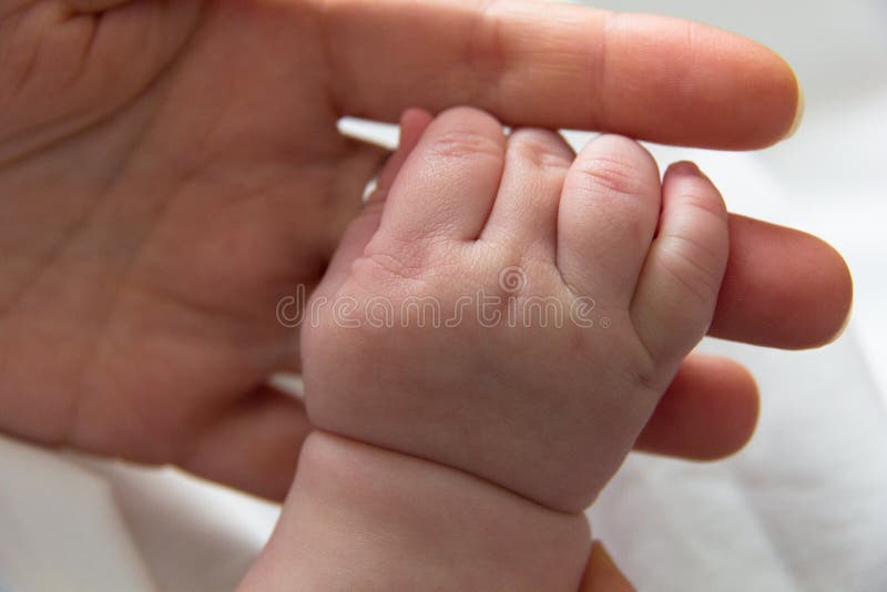 Hand newborn stock photo. Image of baby, kindness, innocent - 93734774