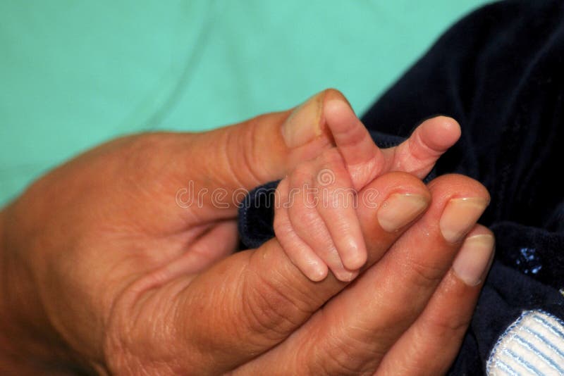 Hand of a Newborn Touching Finger Stock Photo - Image of children ...