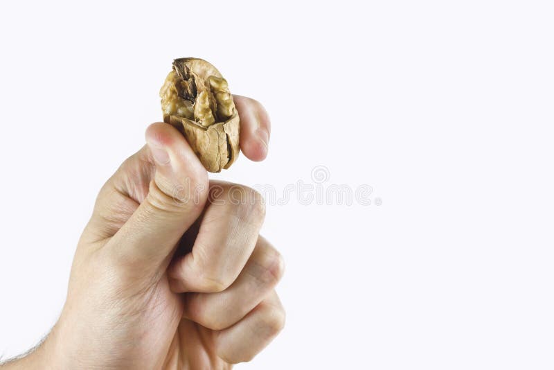 Hand nutcracker stock photo. Image of nutritious, isolated - 48863092