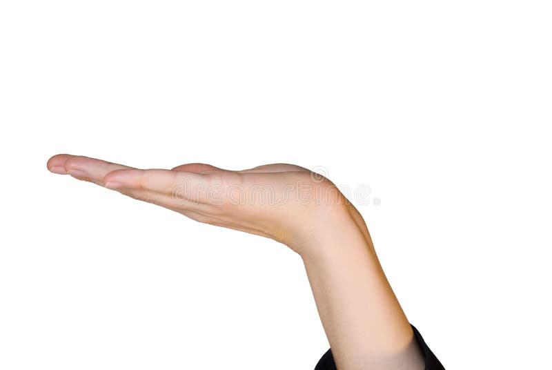 Hand offering stock photo. Image of advise, hold, catering - 29753864