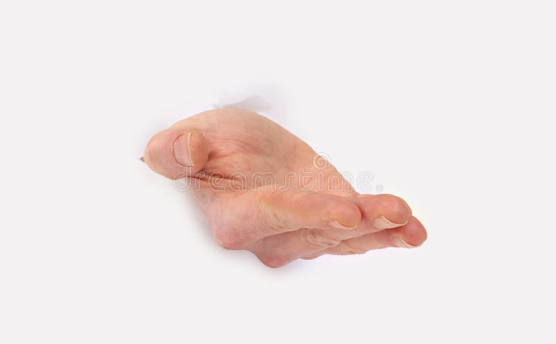 Hand Offering or Holding. Isolated on White Stock Photo - Image of ...