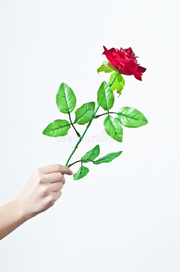 Robot hand holding rose stock photo. Image of future - 21008774