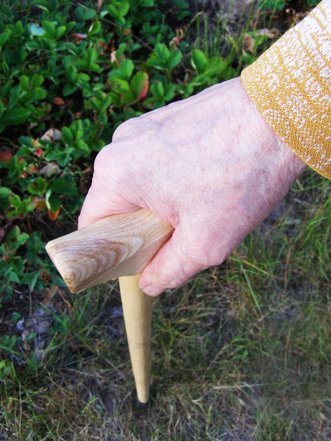 Hand of a Old Woman with Walking Stick Stock Image - Image of crutch ...