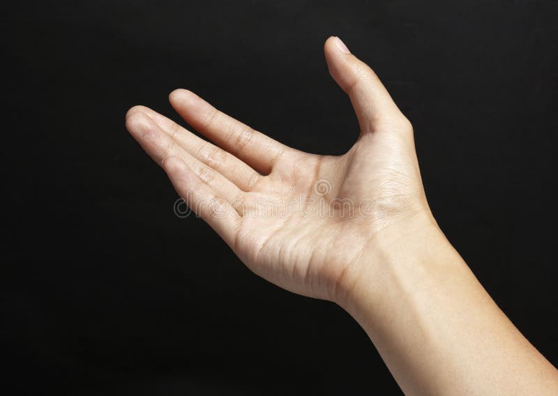 Hand open stock photo. Image of diagonal, show, adult - 12781862