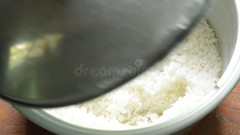 Open electric oven at home stock video. Video of electronics - 279649795