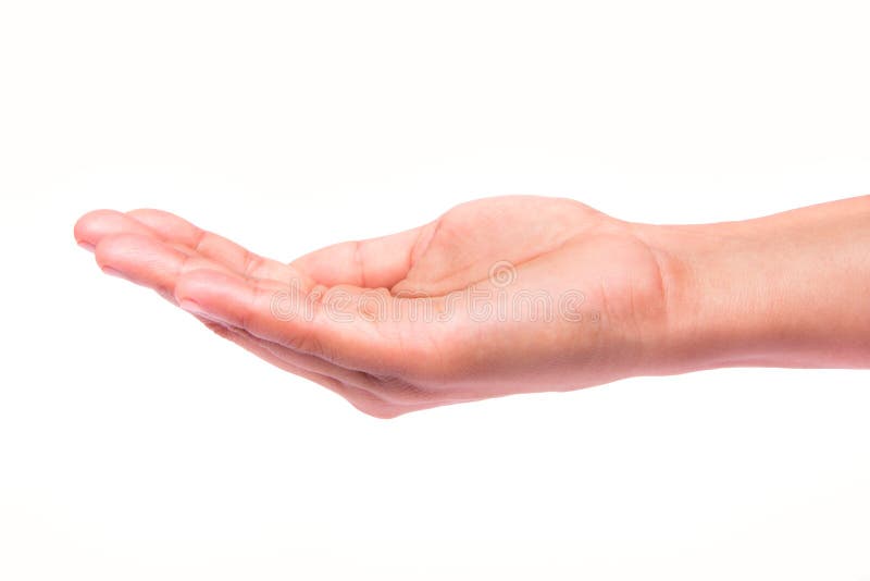 Hand Open stock image. Image of helping, nature, carrying - 35371301