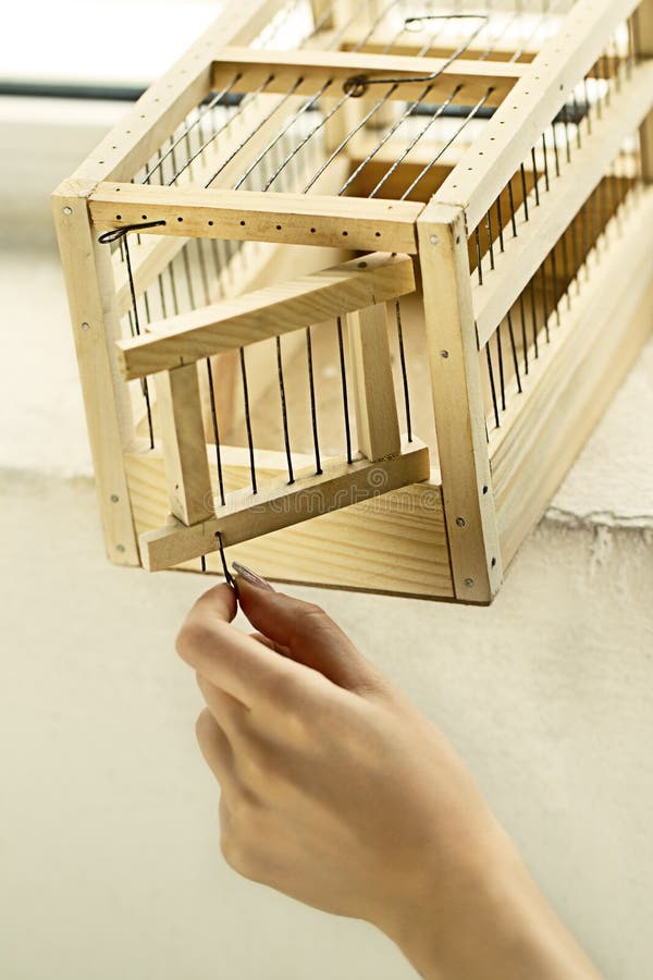 Hand opening cage stock image. Image of oldfashioned - 24890967