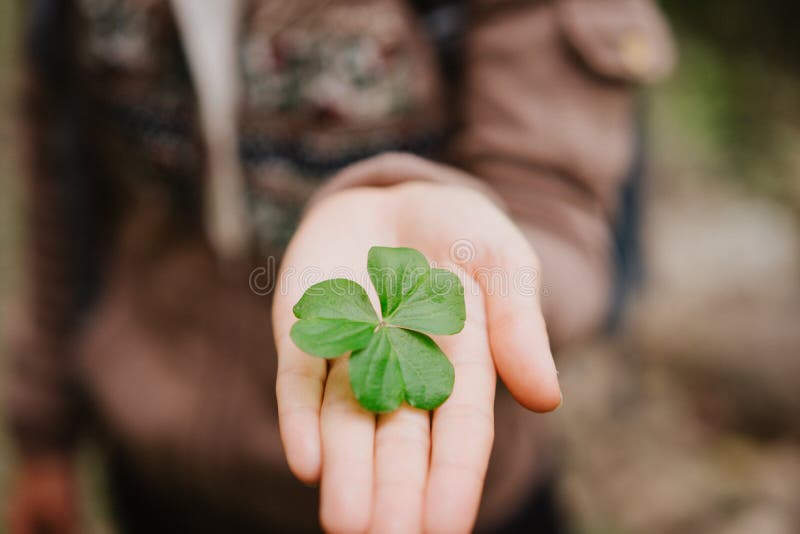 Hand Over One Clover Leave on Stretched Female Hand Palm Stock Photo ...