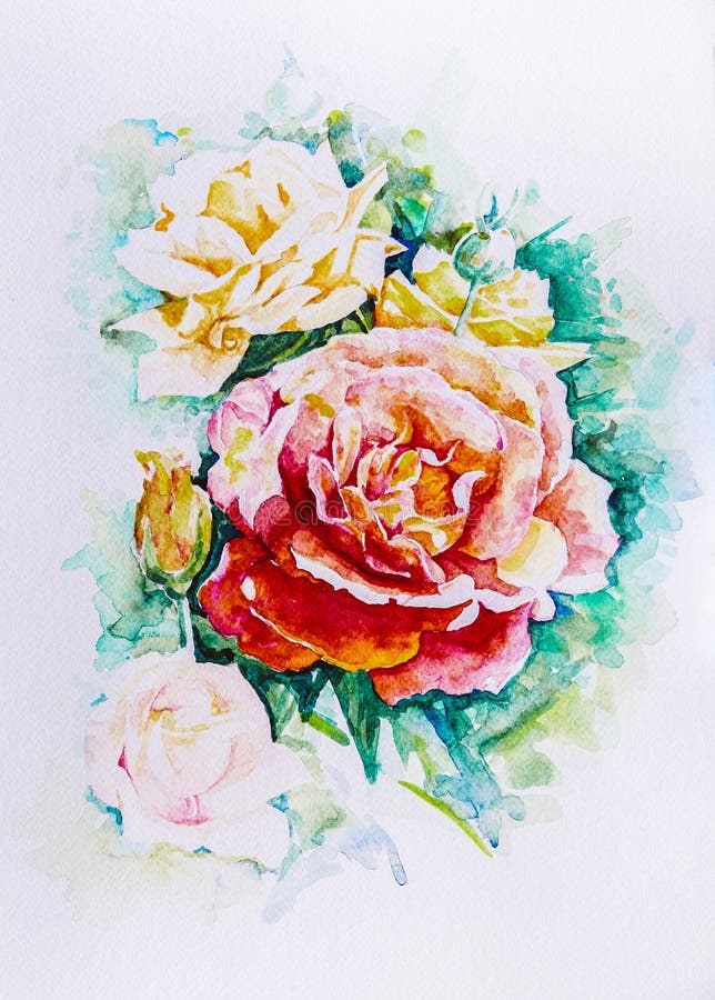 Hand Paint Water-colour of Rose Flower in Spring Time Stock ...
